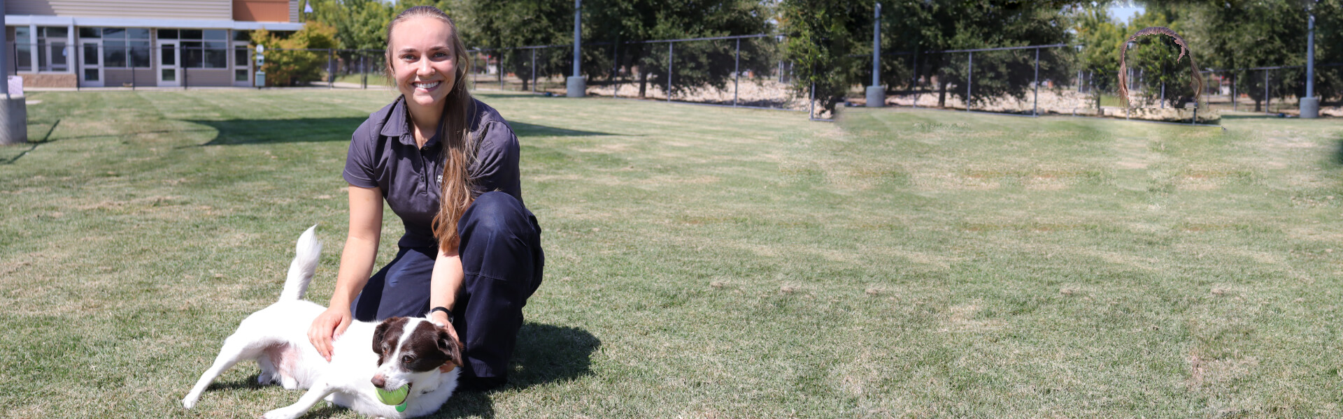 Finding Pets Homes - Clovis Police Foundation